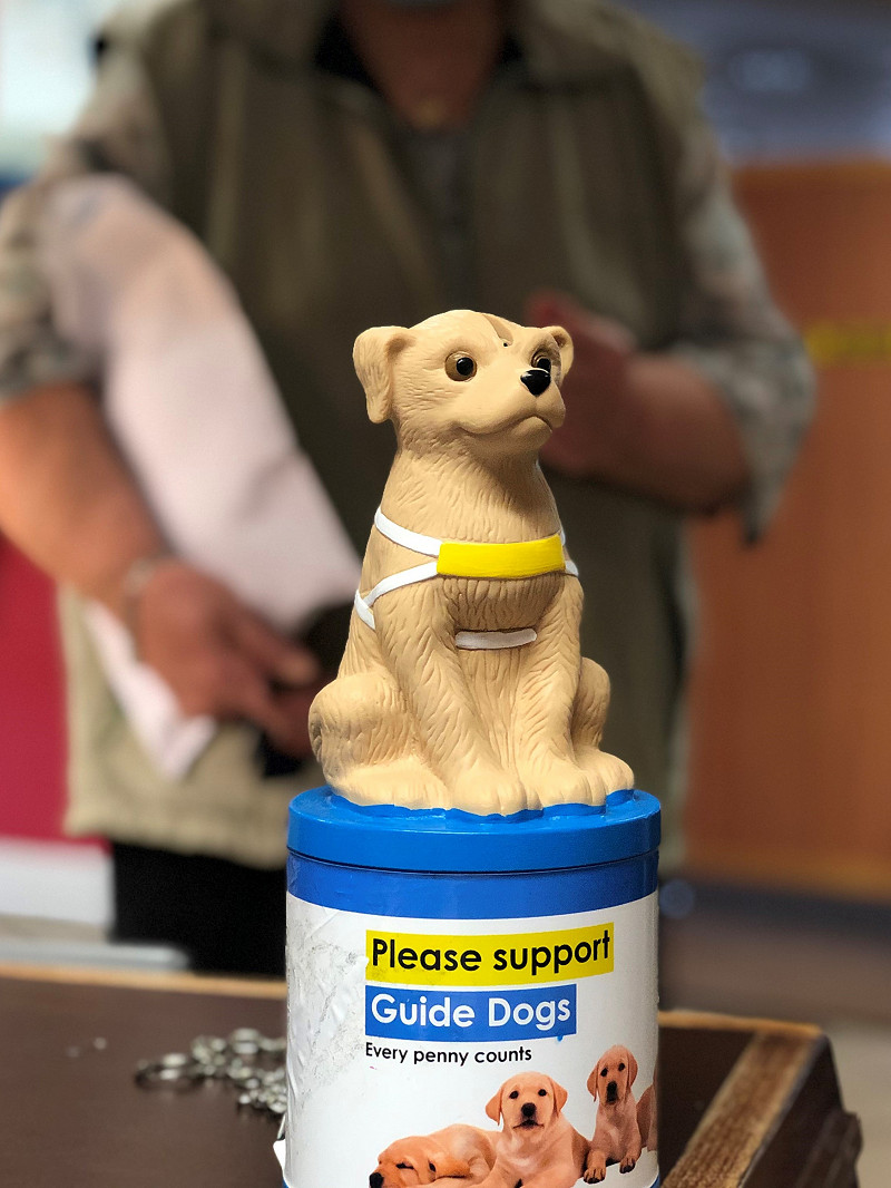 Guide Dogs for the Blind Fundraiser